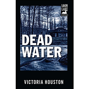 Dead Water (A Loon Lake Mystery)