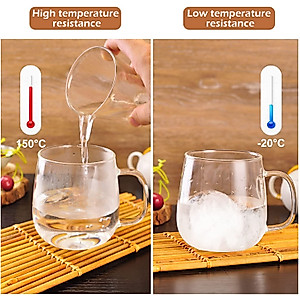 WHJY Glass Tea Cup with Infuser and Lid, 15 ounce Glass Tea Cups with Strainer, Loose Leaf Tea Cup Mug for One, Lead-free Borosilicate Glass Teacups, Heat Resistance, Microwave & Dishwasher Safe