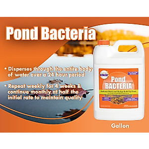 PondWorx Pond Bacteria and Water Clear- Formulated for Large Ponds, Water Features and Safe for Koi, Improves Water Quality- Gallon