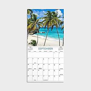 Beaches Palm Trees 2023 Mini Wall Calendar