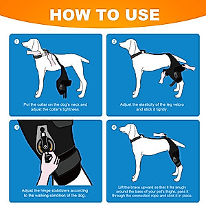 CHAMIN/RISURRY Adjustable Dog Knee Brace with Extra Collar, Support for Torn Acl Hind Leg, Tear Ligament, Osteoarthritis,Rear Leg Limp, Recovery After Surgery,et（Left Leg,L）