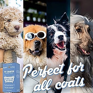 Dog Shampoo with Oatmeal and Aloe. Shea Butter for Smelly Dogs, Puppy Shampoo by Oliver's Choice 14 oz