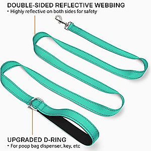 Joytale Double-Sided Reflective Dog Leash, 6 FT/5 FT/4 FT, Padded Handle Nylon Dogs Leashes for Medium & Large Dogs Walking, Teal, 6FT