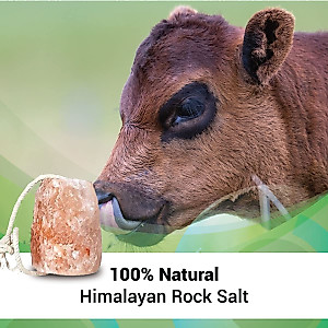 Yield Titan Himalayan Pink Salt 14 LB, Salt Licks for Animals Licking Block for Horses, Cows, Deer, and Other Livestock - Rope Included 3.5Lbs Each(4 Qty)