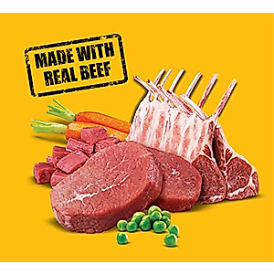 Pedigree High Protein Adult Dry Dog Food Beef and Lamb Flavor Dog Kibble, 16 lb. Bag