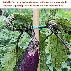 Green Garden Plant Ties,500pcs 6” Twist Ties for Bags, Vines and Cords,Garden ties for Tomato Cage,Plant Supports for Effective Growing