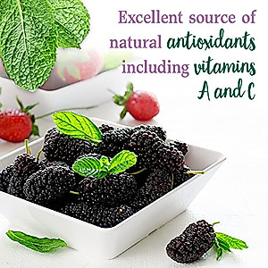 Garden of Life Perfect Food Berry Super Green Fruit & Veggie Formula - 30 Servings, 49 Superfoods Greens, Sprouts, Fruits, Veggies, Probiotics, Spirulina, Vegetarian Juice Superfood Powder Supplement