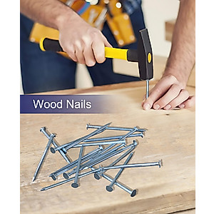 Eujqo Nails for Hanging Pictures Small Nails Picture Hanging Nails 700Pcs Finishing Nails Hardware Nails for Wall Wood Nails