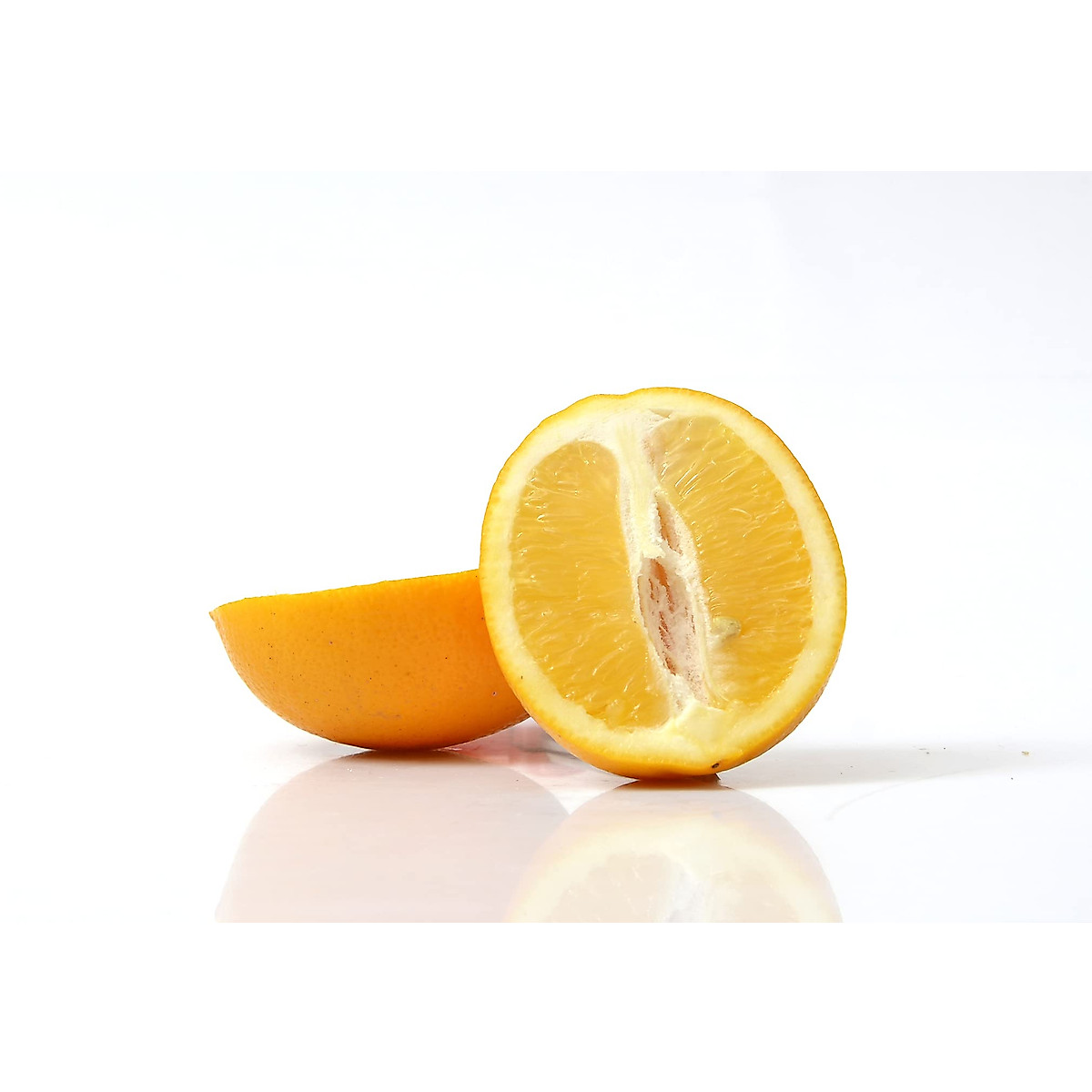 Meyer Lemon Tree Starter Plant. Citrus x meyeri. 3" - 5"