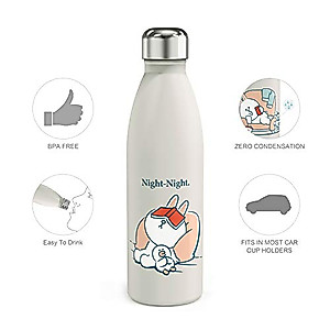 Zak Designs LINE Friends CONY 17.5 oz Stainless Steel Vacuum Insulated Water Bottle with Leak-Proof Cap Keeps Drinks Cold