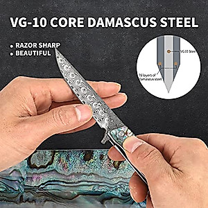 STANBIK Damascus Pocket Knife with Sheath,Abalone Shell Handle With 3.54" Damascu Blade,EDC Folding Knives for Camping Fishing Hiking Outdoor Work.