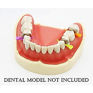 Dental Wedge Guard with Metal Plastic Knife and Protection Matrix for Teeth Interproximal Area 50pcs/box (SMALL)