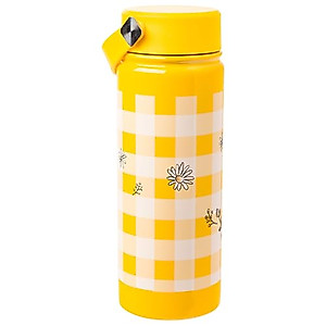 Silver Buffalo Disney Winnie the Pooh Stainless Steel Water Bottle with Swivel Handle Featuring Winnie the Pooh, 20 Ounces