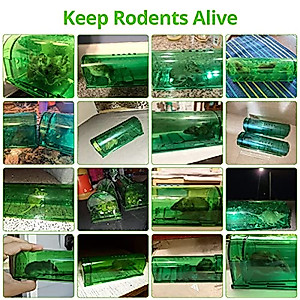 Mouse Traps, Humane Mouse Trap, Easy to Set, Mouse Catcher Quick Effective Reusable and Safe for Families -2 Pack