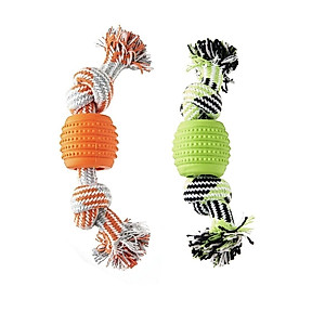 Vibrant Life Dental Buddy Double Dental Dog Toy for Healthy Gums, Chew, Fetch Toy for Some Small and Some Xtra Small Dogs (chew Level 1) Light