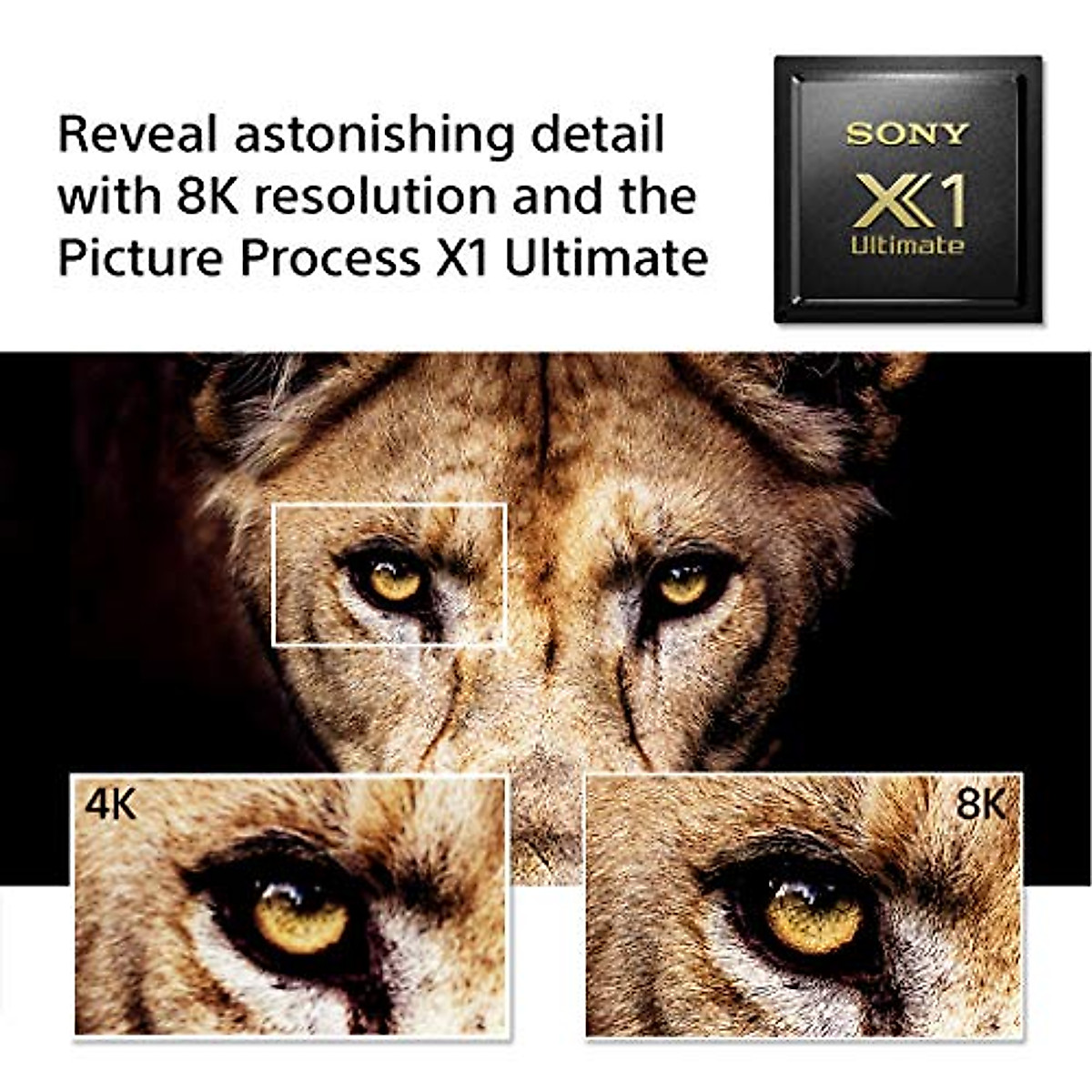 Sony Z8H 75 Inch TV: 8K Ultra HD Smart LED TV with HDR and Alexa Compatibility - 2020 Model