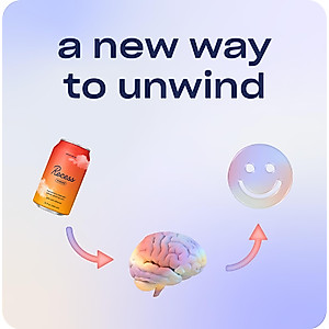 Recess Mood Magnesium Supplement Drink Calming Beverage, 12 Ounce, Pack of 12 (Blood Orange, 12 Pack)