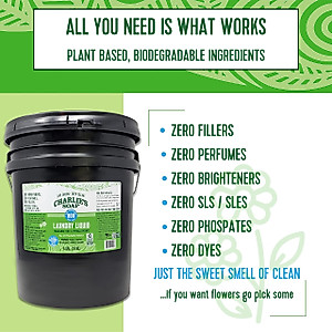 Charlie’s Soap Laundry Liquid Refill (800 Loads, 5 Gallon - 640 Fl Oz) Natural Deep Cleaning Hypoallergenic Laundry Detergent – Biodegradable Eco Friendly Sustainable Laundry Liquid