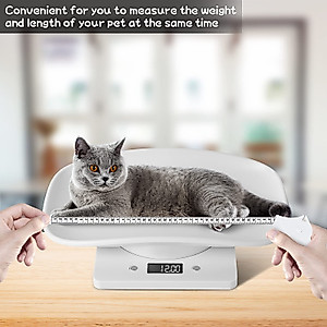 Digital Pet Scale, Puppy Scales for Weighing, Newborn Puppy Whelping Supplies, Accurate Small Animal Scale for Puppies/Kitten/Dog/Cat/Hedgehog, Multi-Function LCD Scale, Max 22lb,11.4inch