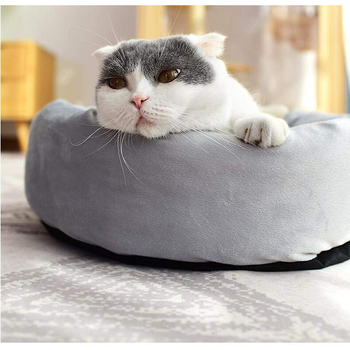 Bed Cat Bed Round Winter Warm Dog Cat Bed Plus Velvet Sleeping Pad Cat Supplies Kennel Removable Mat 1Pcs M