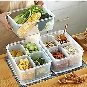KNC Food Storage Containers with Lids Airtight,Reusable Fresh Produce Fruit Storage Organizer, Refrigerator Food Fresh Box with 4 detachable small boxes for Storing Fish, Meat, Vegetables,Grain