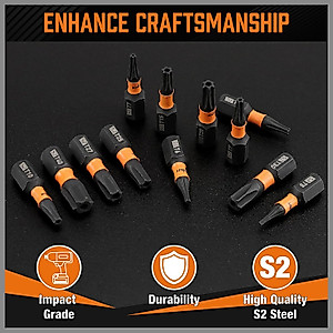 HORUSDY 13Pieces T5-T40 Torx Bits Set - Torx Security Bit Set - Security Torx Bit Set | Star Bits Set - 1/4 Hex Torx