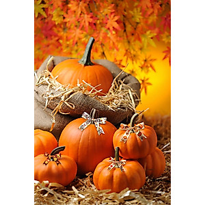 4 Rolls Fall Ribbons 3/8" Grosgrain Satin Pumpkin Maple Leaves Ribbons Orange Ribbons Autumn Give Thanks Words Thanksgiving Ribbon for Gift Wrapping Bows Fall Crafts Supplies 0.4/0.8inch, 20Yards