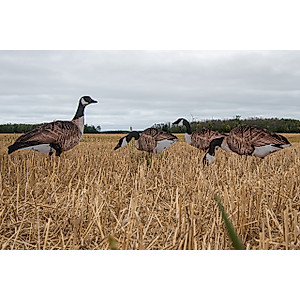 Real-Geese 1 Doz Vivid Series Silhouette Decoys