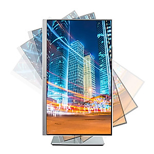 HP EliteDisplay E233 23 Inch Full HD Screen LED 2-Pack Display Bundle with 12-Outlet Professional SurgeMaster, Microsoft Wireless Keyboard and Mouse