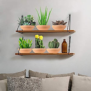 Terra Cotta Pots, Laergin 6.43 Inch Shallow Terra Cotta Clay Pots with Drain Hole Terra Cotta Plant Pot with Drainage Hole, Ceramic Plant Pots for Indoor/Outdoor Plants(6 Pack)