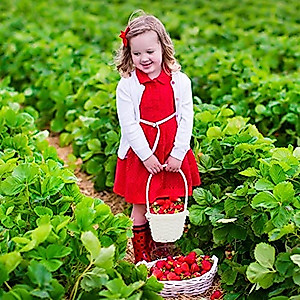 Hemoton 6pcs Wicker Picnic Basket Bamboo Rattan Woven Fruit Basket Wedding Flower Basket for Camping Outdoor Wedding Party Toy Storage Basket Size