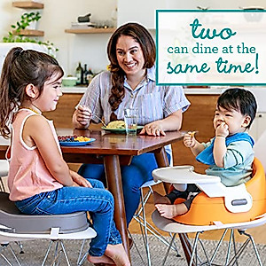Infantino Grow-with-Me 4-in-1 Two-Can-Dine Feeding Booster Seat, Fox-Theme, Space-Saving Design, Infant Booster for 4M+, Toddler Seat for 3Y+