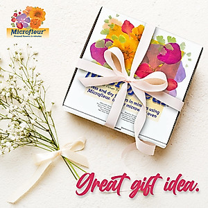 Microfleur 9" (23 cm) Max Microwave Flower Press Kit for pressing flowers and making pressed flowers