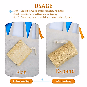 PioneerHiker 100% Natural Loofah Sponge, Unbleached, Natural Loofah Exfoliating Bath Scrubber for Adults, Men and Women Shower or Cleaning Kitchenware (3 Count)