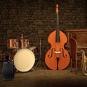 Padded Portable Snare Drum Case, 13-14 Inch Snare Drum Carrying Backpack with Shoulder Strap and Carry Handles, Drum Bag Case for, Storage And Transport (Black)