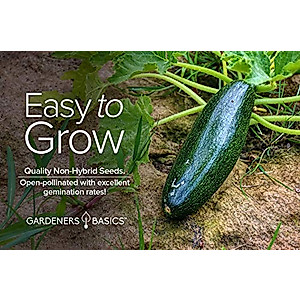 Zucchini Seeds for Planting - Black Beauty Green Heirloom, Non-GMO Vegetable Summer Squash Variety- 3 Grams Seeds Great for Summer Garden by Gardeners Basics