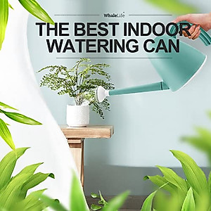 Watering Can for Indoor and Outdoor Plants 1/2 Gallon Plastic, Long Spout with Detachable Shower Spray Head, Water Can for Plants, Garden, Flower, Office(2.0L Blue) by WhaleLife