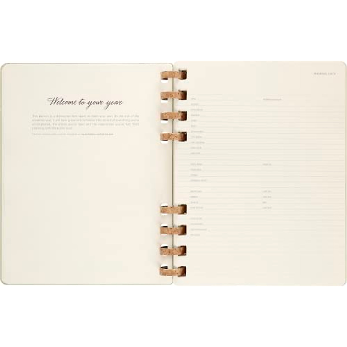 Moleskine 2024 Spiral Academic Planner, 12M, Extra Large, Crush Kiwi, Hard Cover (7.5 x 10)