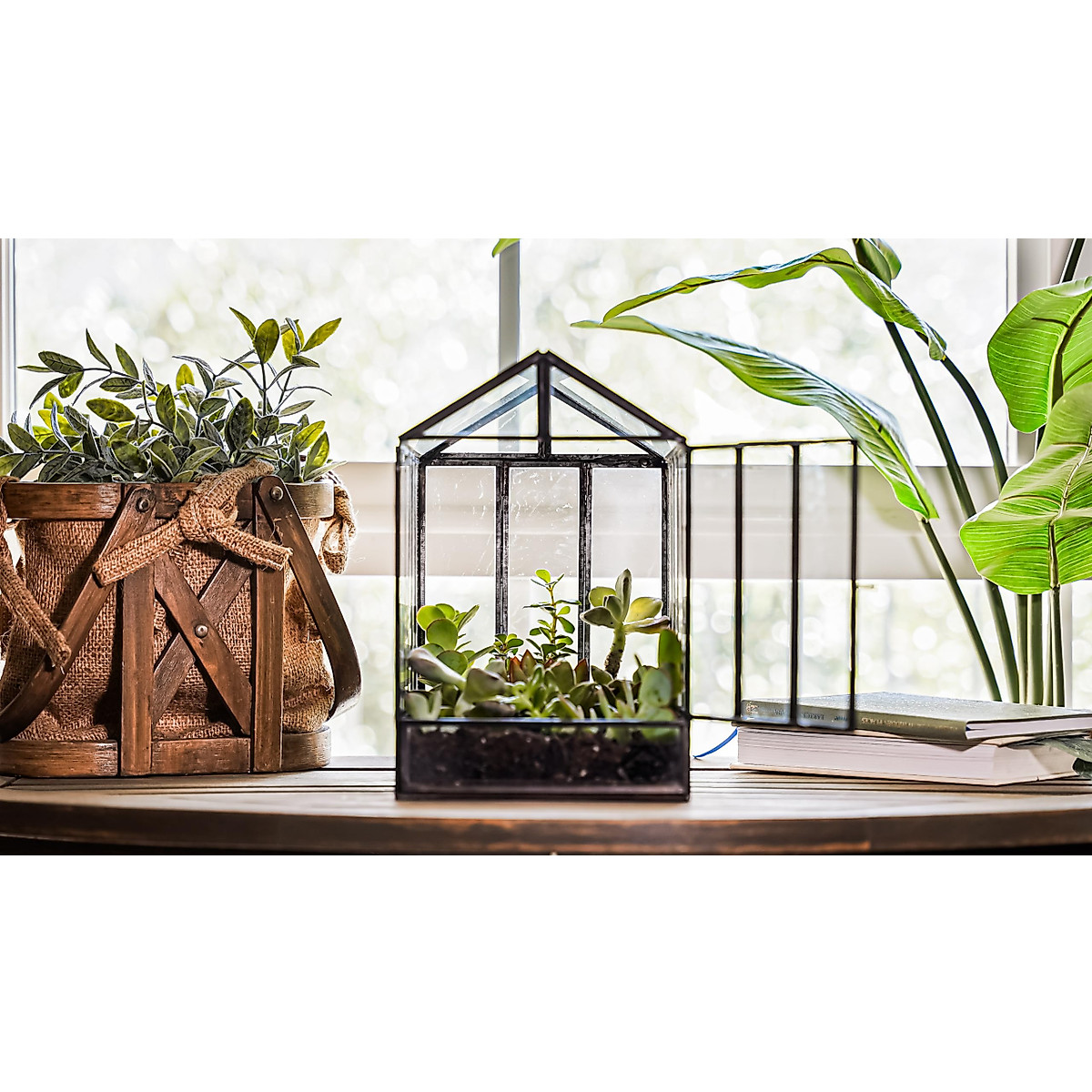 Urban Born Large Indoor Greenhouse Shape Terrarium — 10" x 6" x 10" (Black)