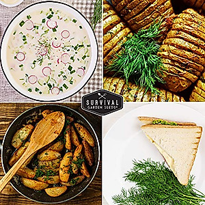 Survival Garden Seeds - Dill Seed for Planting - Packet with Instructions to Plant and Grow Popular Pickling Herbs in Your Home Vegetable and Herb Garden - Non-GMO Heirloom Variety - 1 Pack