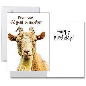 Funny Happy Birthday Card, Old Goat Birthday Card, "From One Old Goat to Another", 5"x7", each card comes with a white envelope, great for friends and family Members (1-pack)
