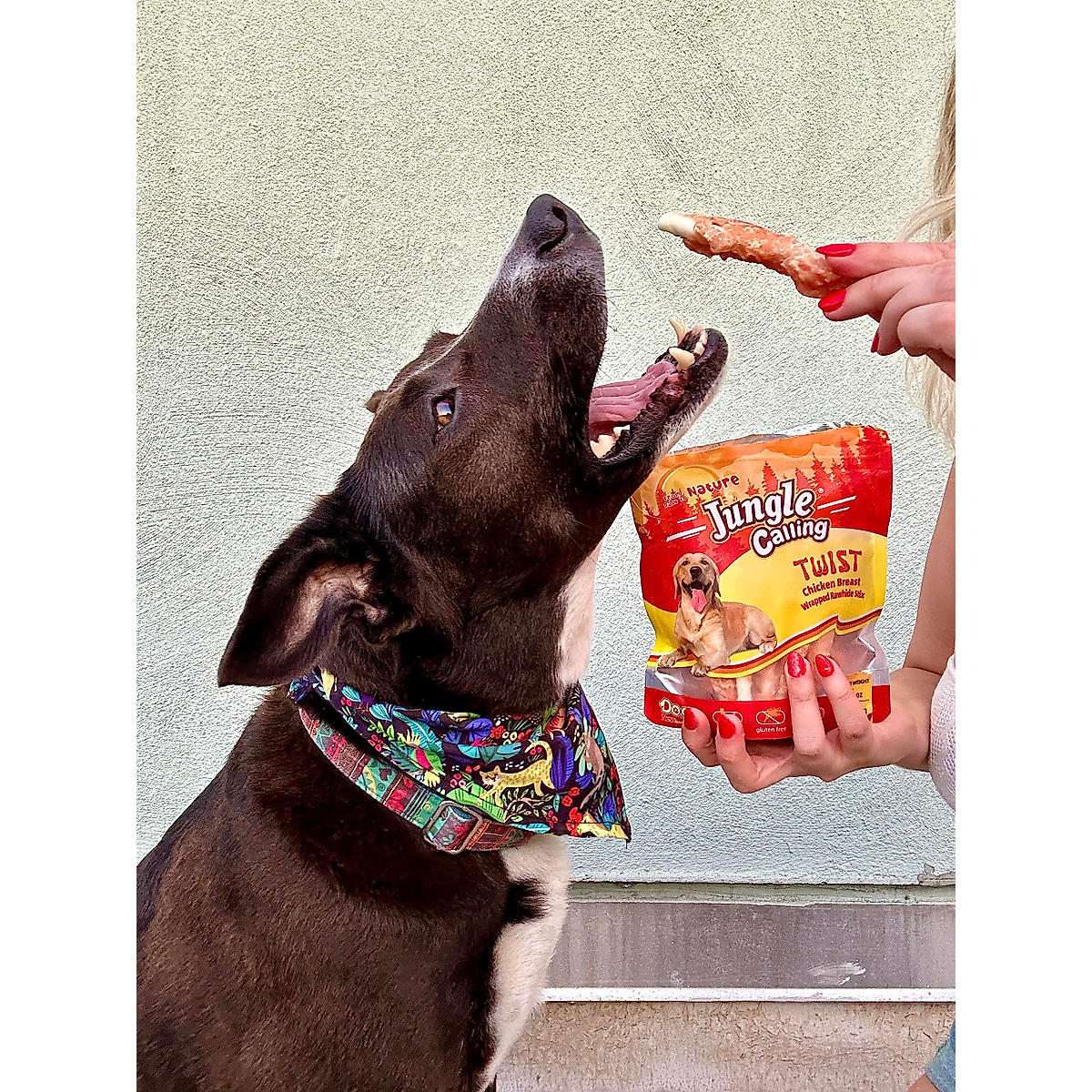 Jungle Calling Dog Treats, Chicken Wrapped Rawhide Sticks for Dogs, Delicious and Nutritious Training Reward Treats and Dog Chews Snacks, 6 oz