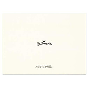 Hallmark Boxed Thank You and Blank Cards Assortment (Four Assorted Designs, 40 Note Cards and Envelopes), 5WDN2066