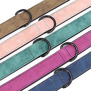 Didog Soft Padded Leather Dog Collar, Breathable Heavy Duty Dog Collar Leather with Adjustable Rust-Proof Metal Buckle for Small Medium Large Dogs (L: Total Length 20", Fit 14-17" Neck, Brown)