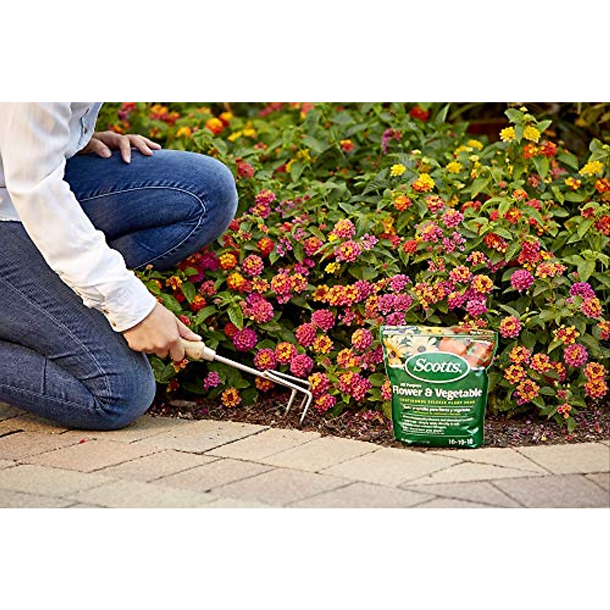 Scotts All Purpose Flower and Vegetable Continuous Release Plant Food, 3-Pound