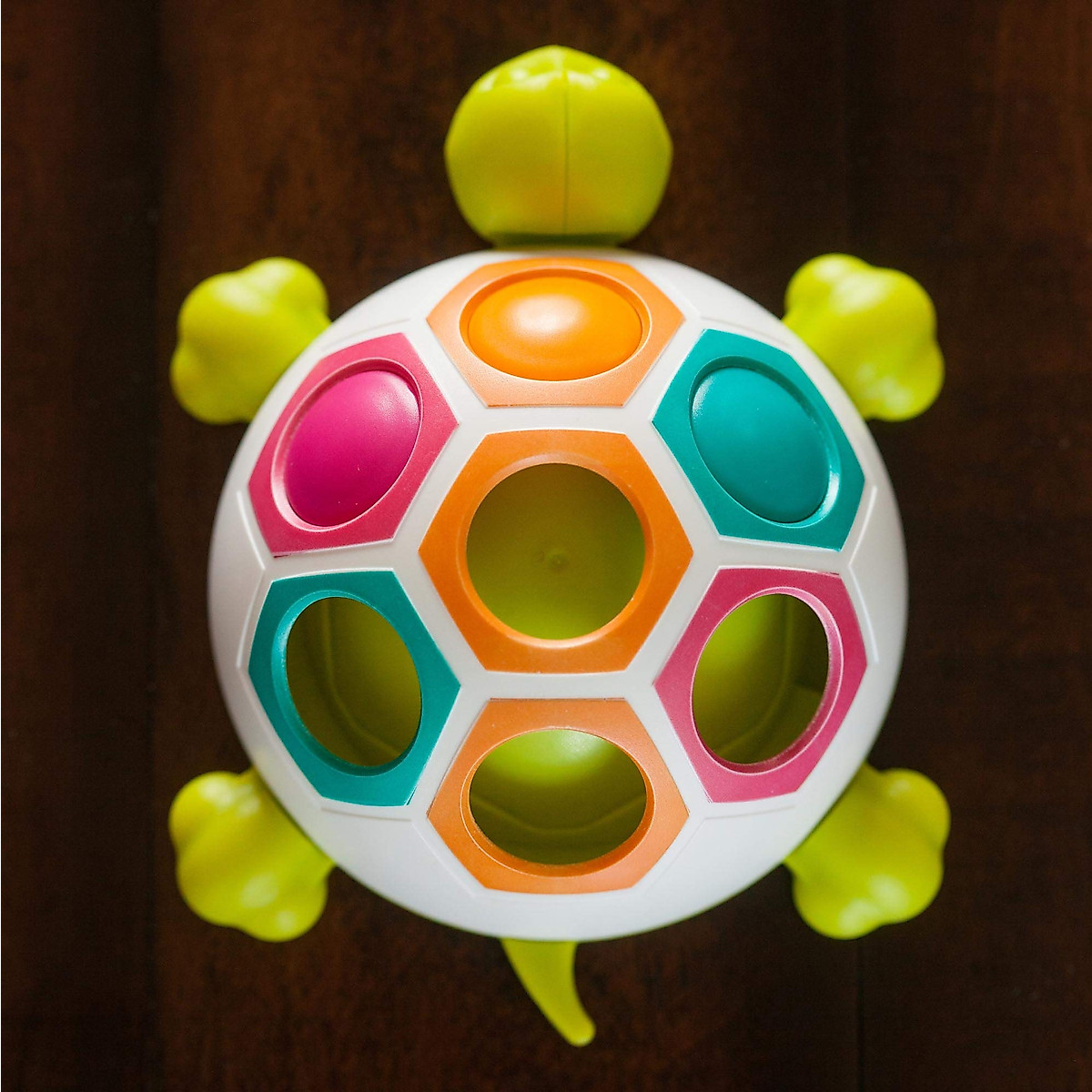 Fat Brain Toys Pop & Slide Shelly