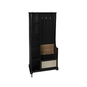 SPOFLYINN 0717-B0CRKLBTS6 Door Closet, One Size, Black as Shown