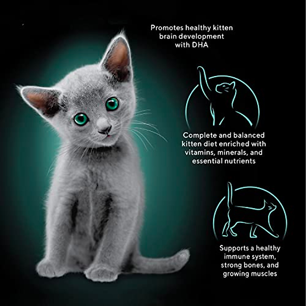 SHEBA Perfect Portions Kitten Paté Wet Cat Food Trays (24 Count, 48 Servings), Savory Chicken and Delicate Salmon Entrée, Easy Peel Twin-Pack Trays