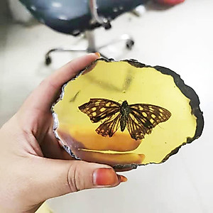 Amber Fossils Insect Samples Artificial Amber Insect Specimen Pendant Stone Decoration Crystal Samples Collection Science Education Dragonflies, Cicadas, Scorpions, Butterflies (4 Combinations)