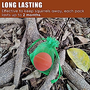 SEEKBIT 4 Pack Squirrel Rodent Repellent, Waterproof Peppermint Oil Chipmunk Repellent, Attic Closets Home Garage RV Trucks Car Engines Garden Squirrels Deterrent, Under Hood Animal Repeller (Pink)